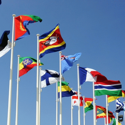 World Flags Direct | World flags, World flag store, International ...
