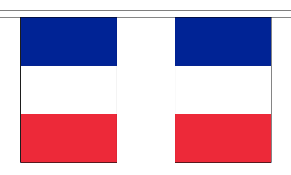 France String Flag Bunting | World Flags Direct