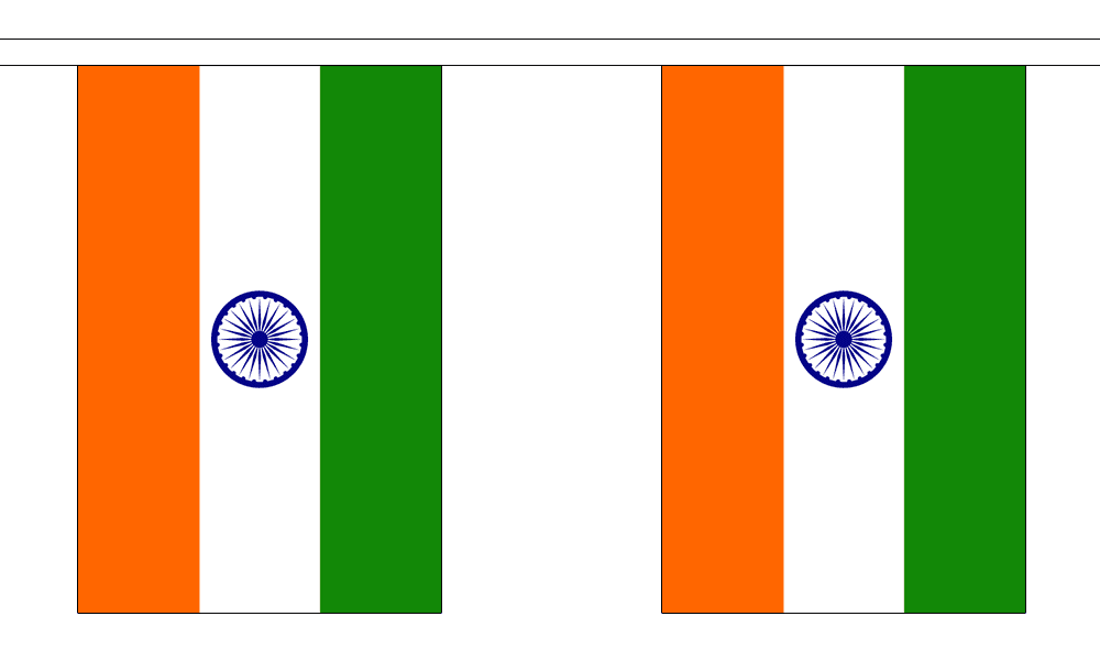 India String Flag Bunting | World Flags Direct