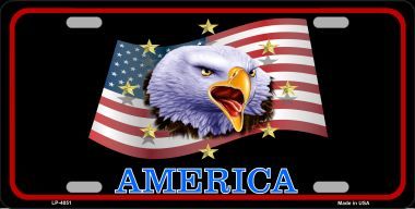 Patriotic License Plate US-4051 | World Flags Direct